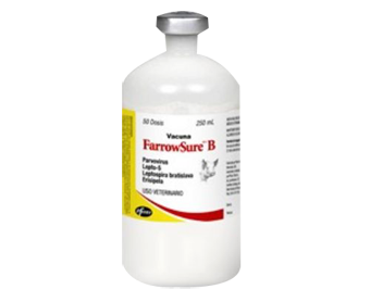 farrowsure b | Zoetis MX