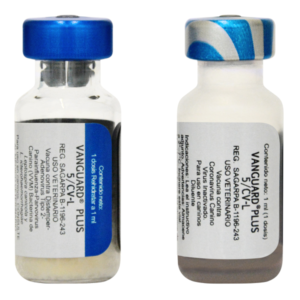 Vanguard Plus 5 /CV-L | Zoetis MX