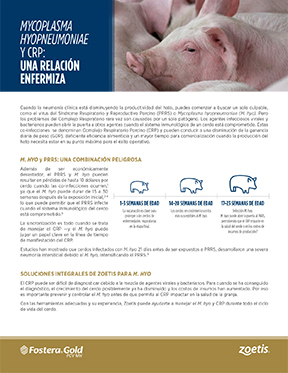 Recursos | Zoetis MX